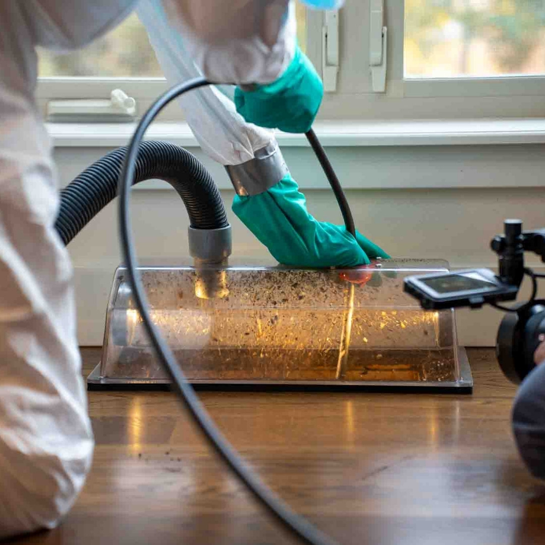 What Is HVAC Mold Remediation and When Do You Need It